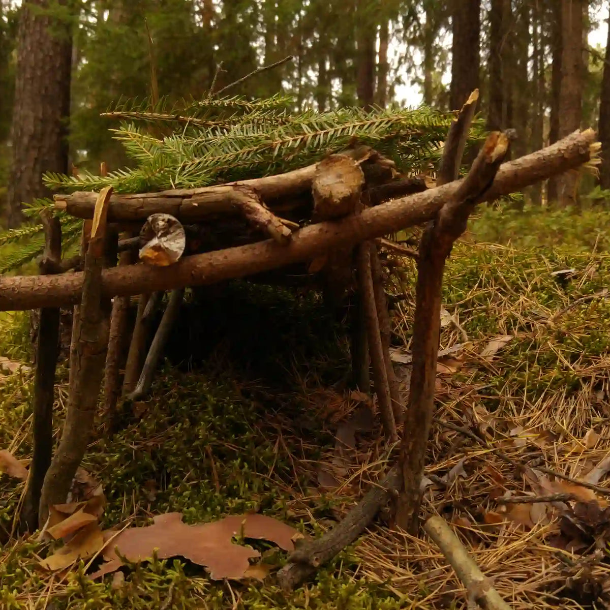 Shelter made from natural materials: building shelters in the ...