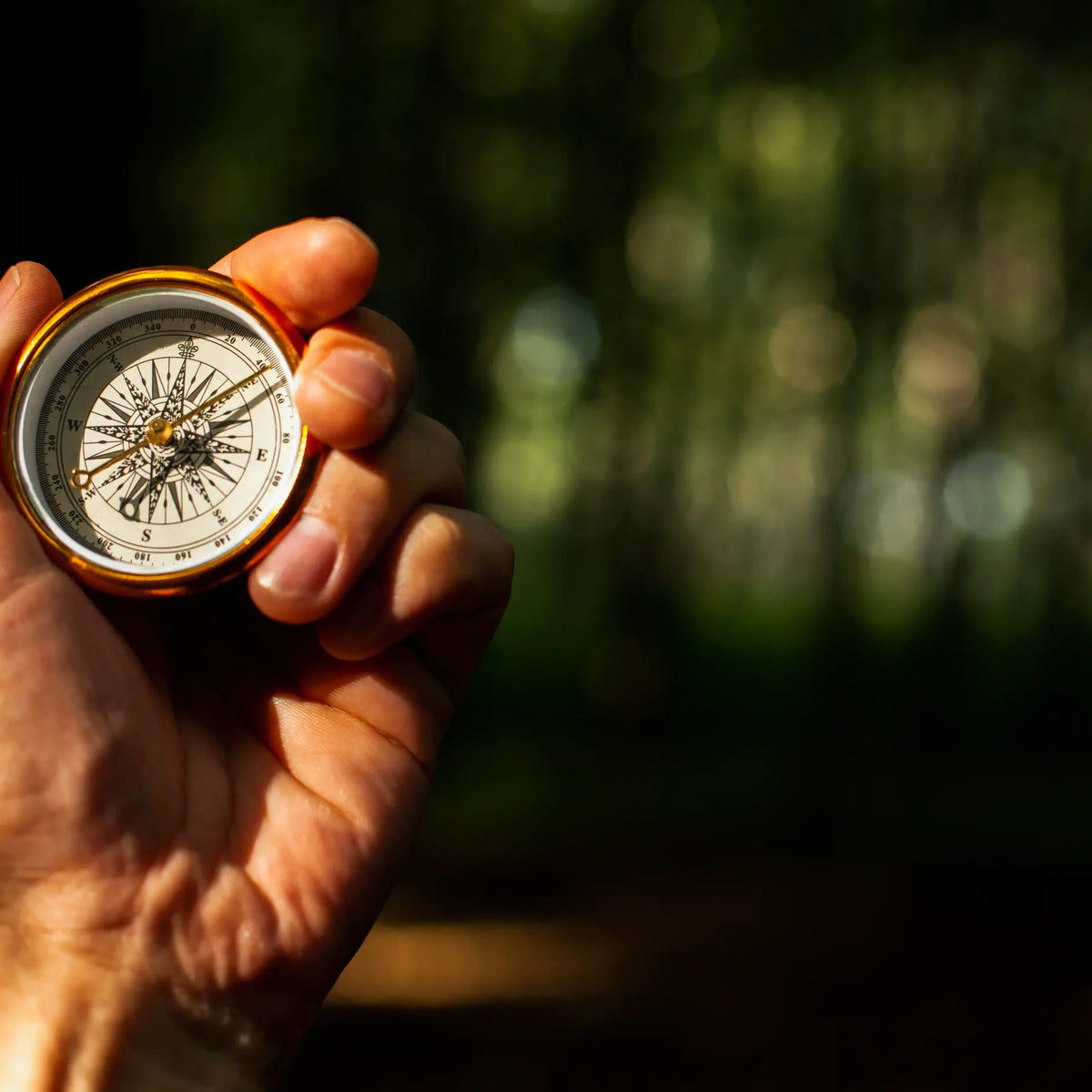 Read compass correctly & use map: Orientation in the terrain – Petromax
