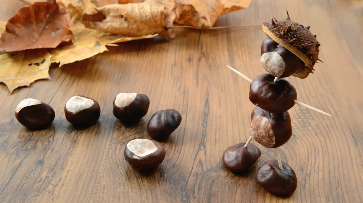 Crafting with chestnuts: simple ideas for young and old – Petromax