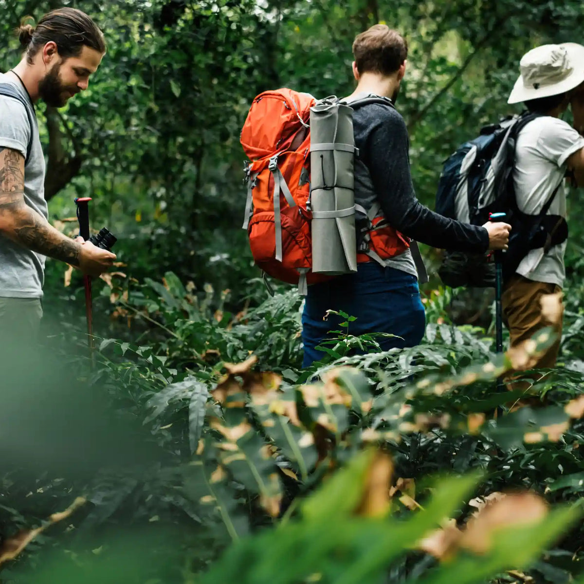 Sustainable hiking: 7 tips for real nature lovers – Petromax