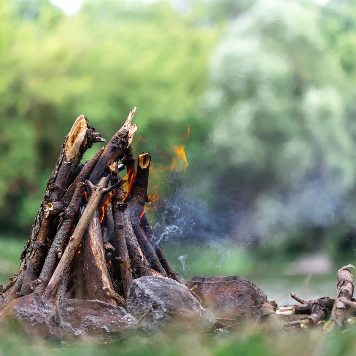 Faire du feu sans briquet : 5 méthodes proches de la nature pour les d ...